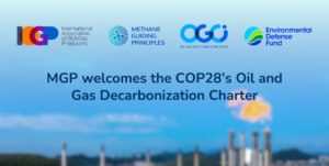 About The Methane Guiding Principles